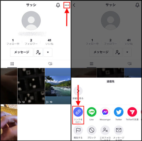 投稿やプロフの紹介は？外部へのリンクは？TikTokのURLを完全ガイド | 毎日が生まれたて